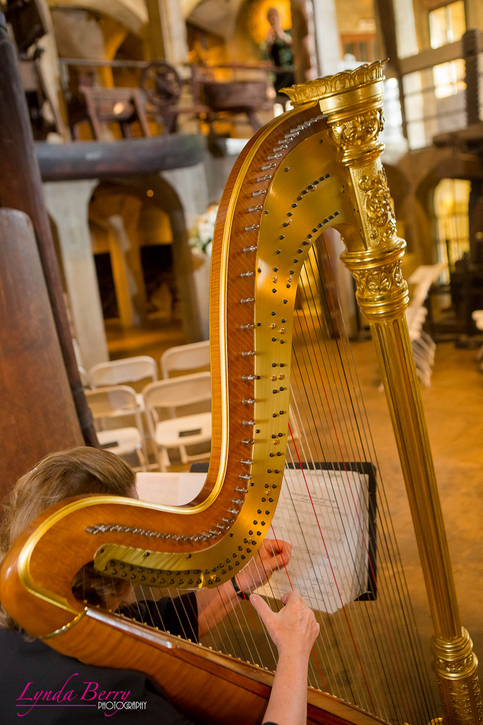 Harpist in the Central Court (2) | Mercer Museum & Fonthill Castle